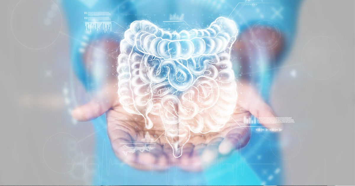 Il Microbiota intestinale: nella buona e nella cattiva…fisiologia ...